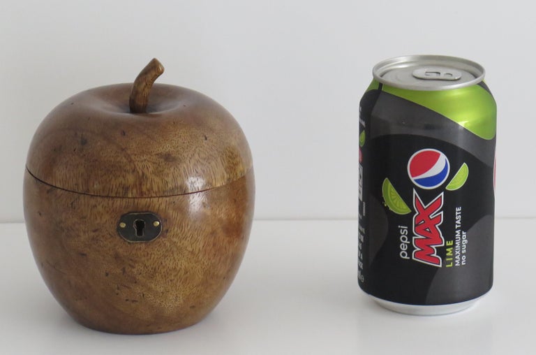Hand Carved Apple Tea Caddy in Hardwood with Lined Interior, 19th ...