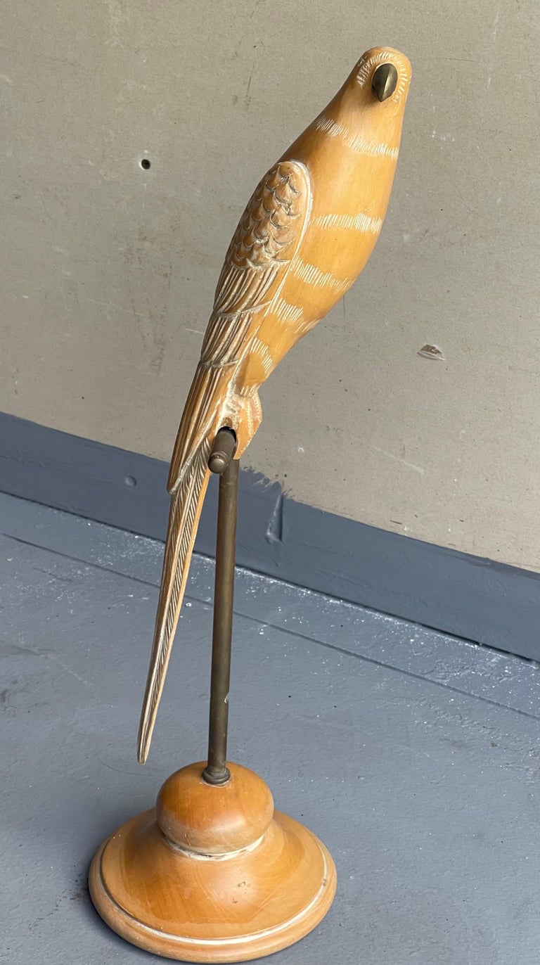 Hand Carved Knotty Pine Wood Parrot on Perch Sculpture by Sarreid Ltd ...