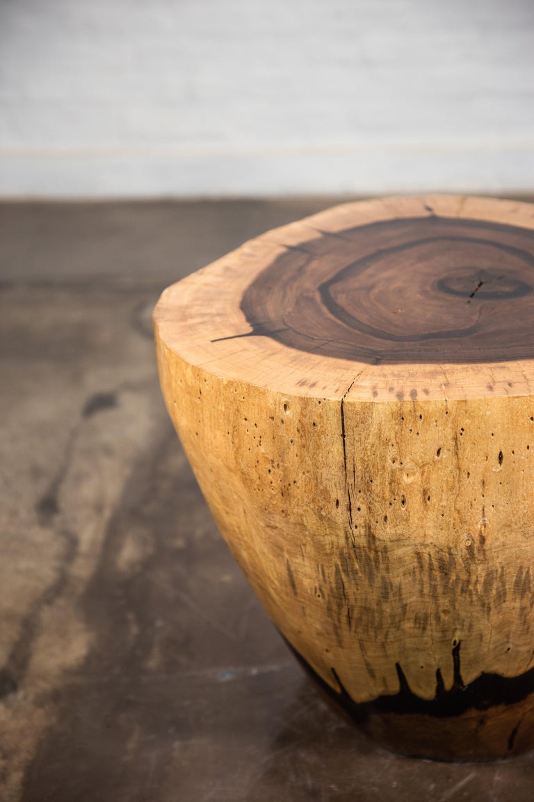 Hand Carved Live Edge Solid Wood Trunk Table ƒ31 by Costantini, in ...