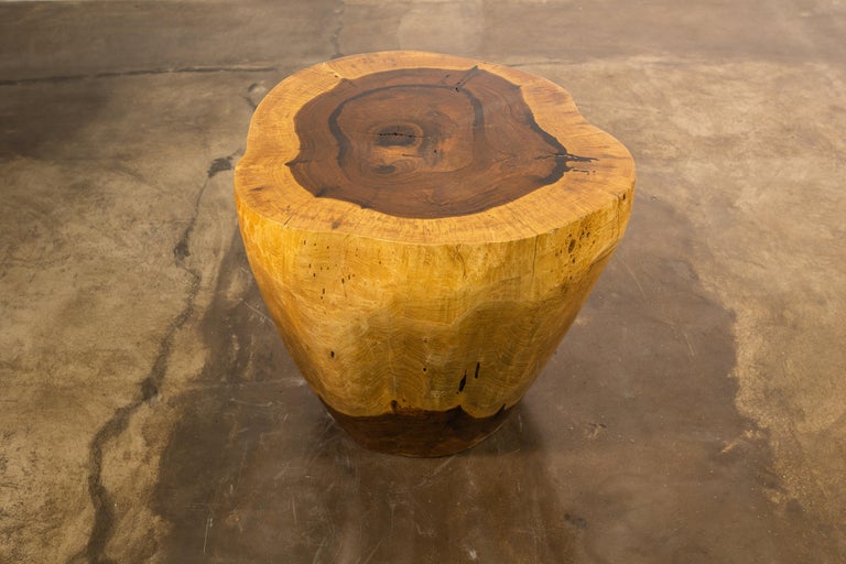 Hand Carved Live Edge Solid Wood Trunk Table ƒ37 by Costantini, in ...