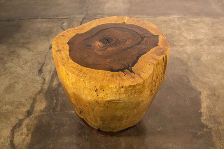 Hand Carved Live Edge Solid Wood Trunk Table ƒ37 by Costantini, in ...