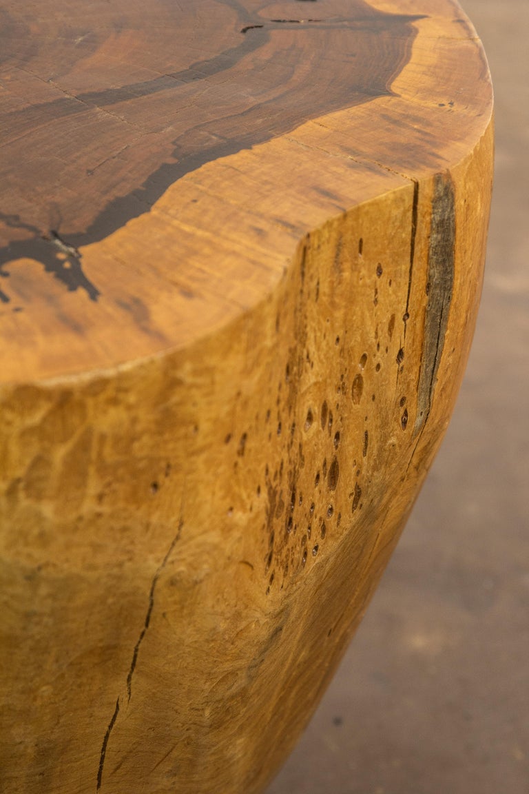 Hand Carved Live Edge Solid Wood Trunk Table ƒ37 by Costantini, in ...