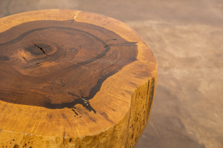 Hand Carved Live Edge Solid Wood Trunk Table ƒ37 by Costantini, in ...