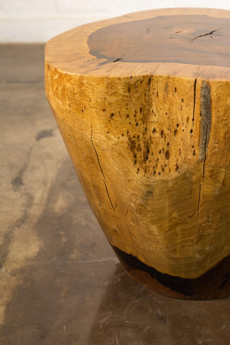Hand Carved Live Edge Solid Wood Trunk Table ƒ37 by Costantini, in ...