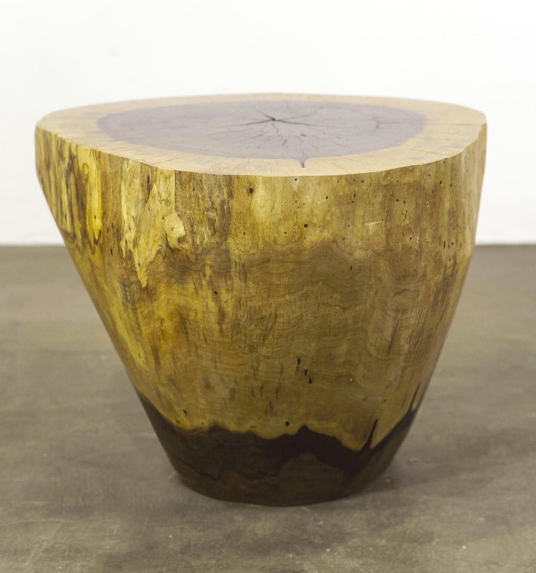 Hand Carved Live Edge Solid Wood Trunk Table ƒ4 by Costantini, in Stock ...