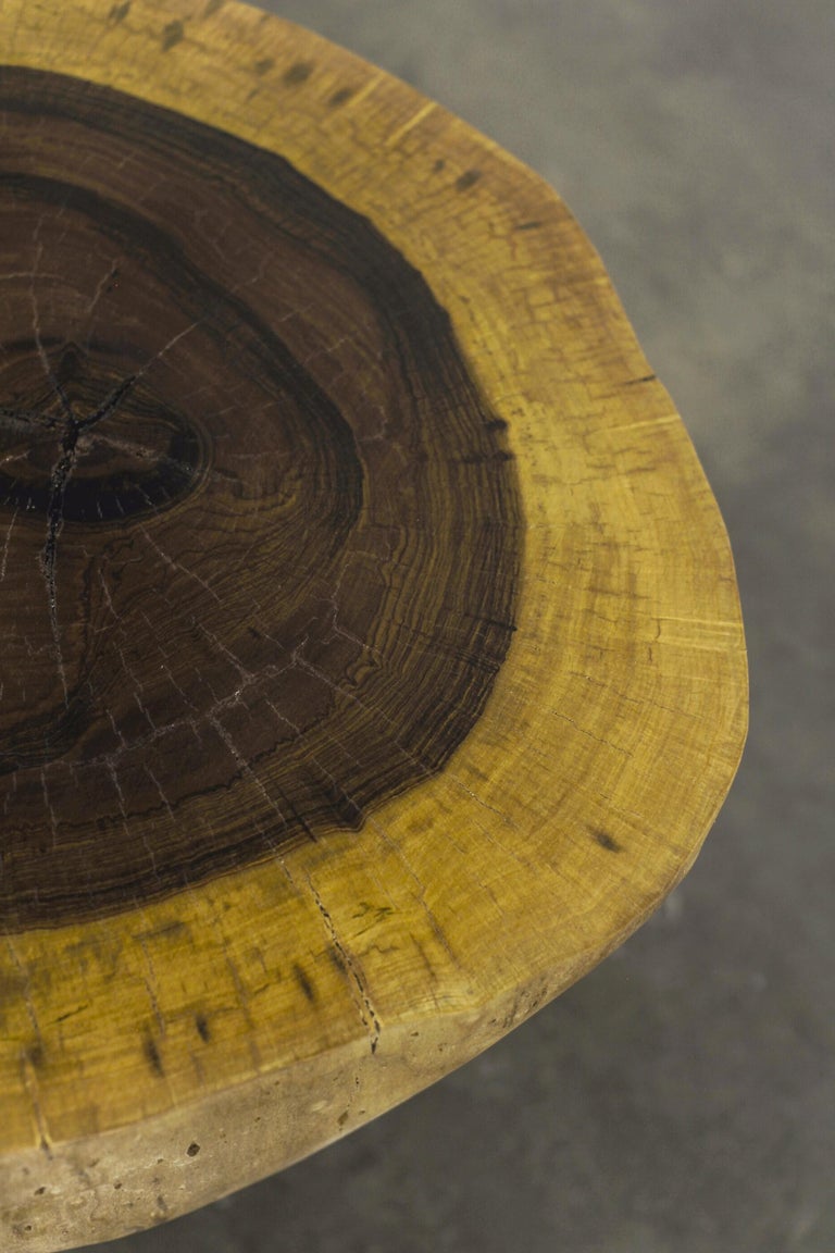 Hand Carved Live Edge Solid Wood Trunk Table ƒ4 by Costantini, in Stock ...