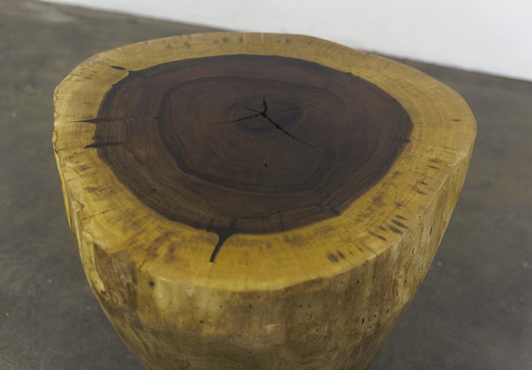 Hand Carved Live Edge Solid Wood Trunk Table ƒ4 by Costantini, in Stock ...