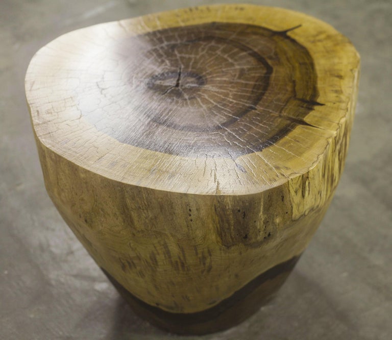 Hand Carved Live Edge Solid Wood Trunk Table ƒ4 by Costantini, in Stock ...
