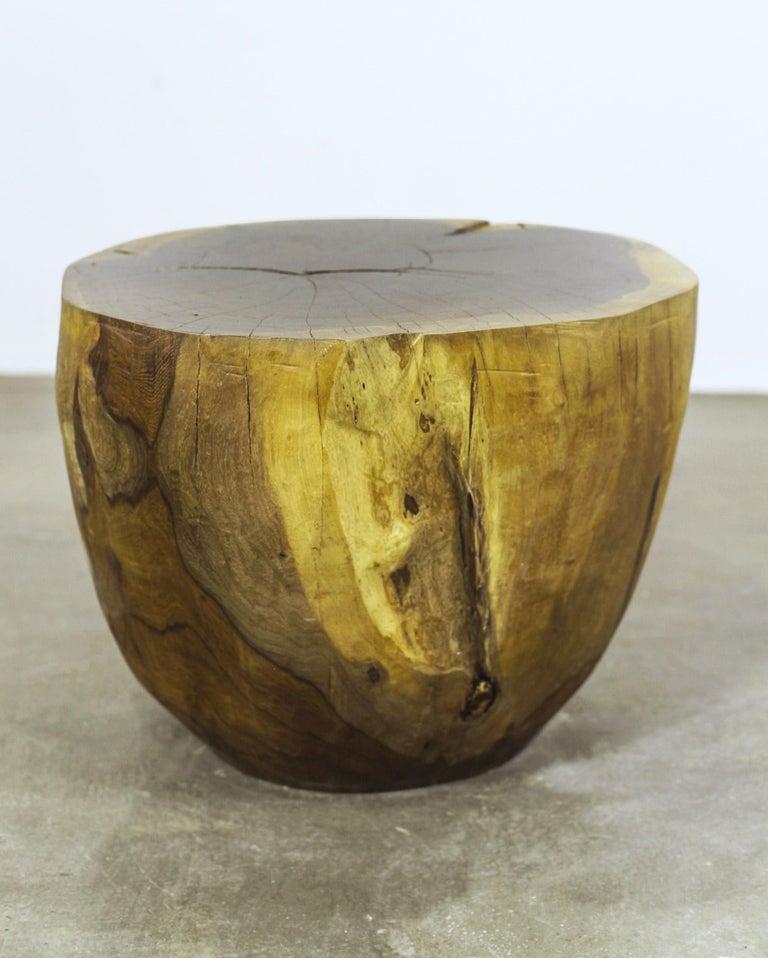 Hand Carved Live Edge Solid Wood Trunk Table ƒ6 by Costantini, in Stock ...