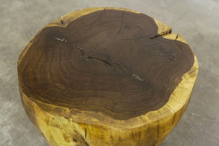 Hand Carved Live Edge Solid Wood Trunk Table ƒ6 by Costantini, in Stock ...