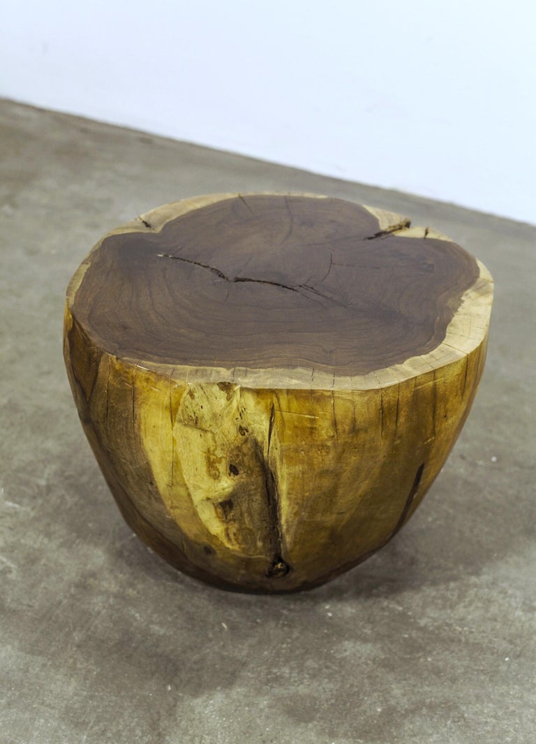 Hand Carved Live Edge Solid Wood Trunk Table ƒ6 by Costantini, in Stock ...