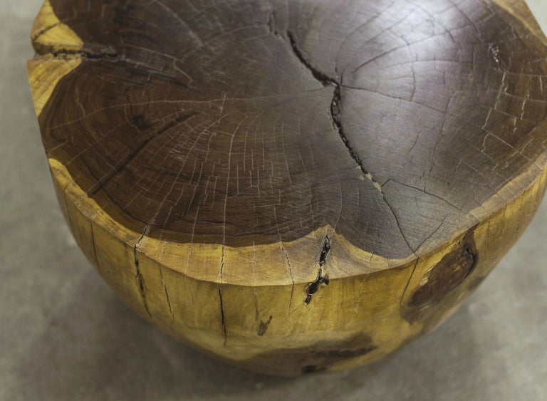 Hand Carved Live Edge Solid Wood Trunk Table ƒ6 by Costantini, in Stock ...