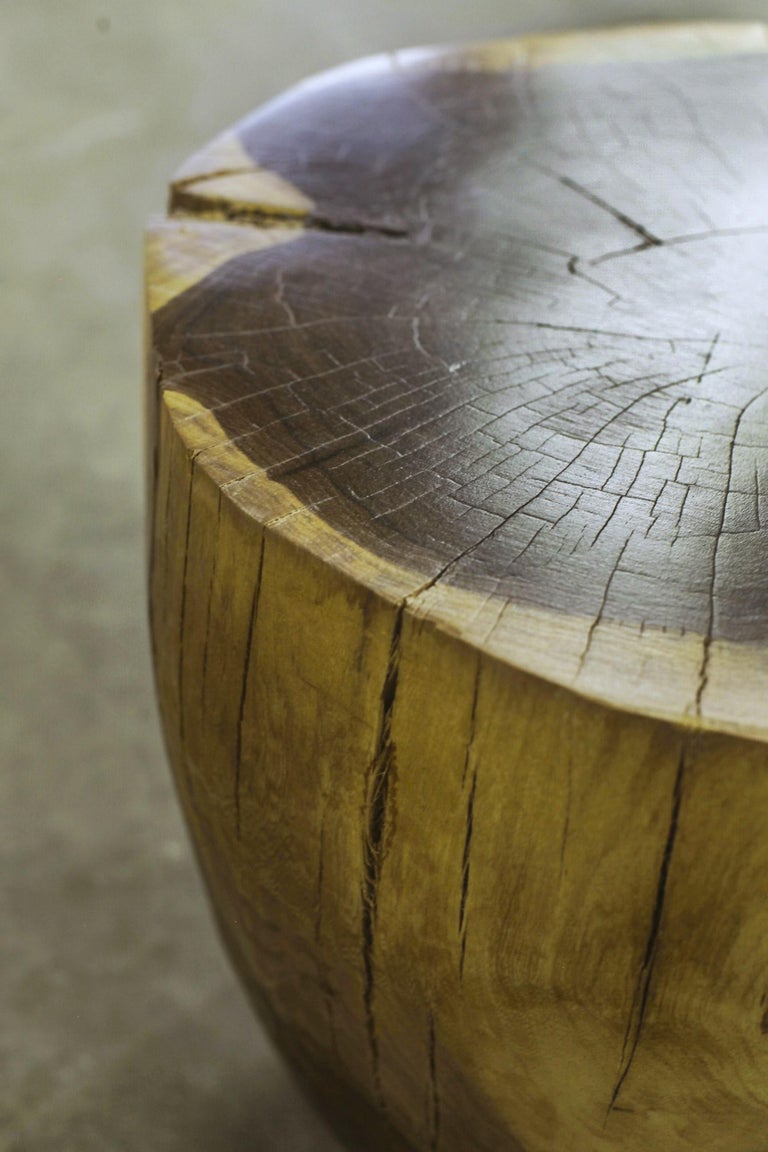 Hand Carved Live Edge Solid Wood Trunk Table ƒ6 by Costantini, in Stock ...