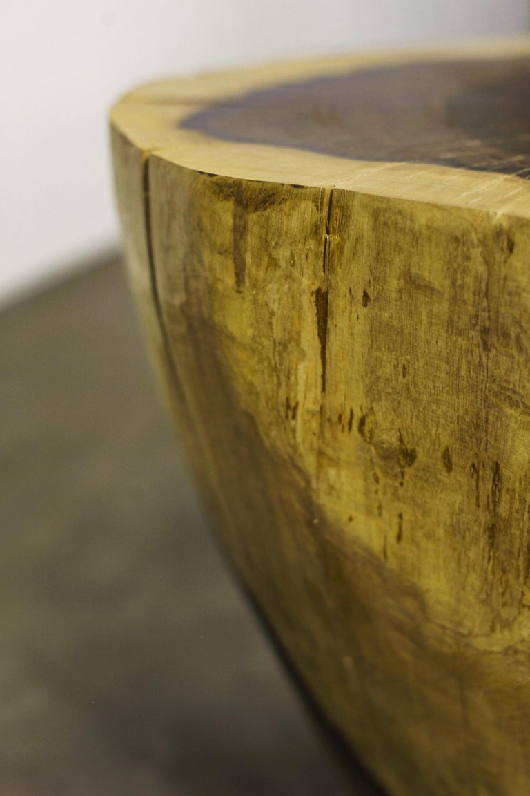 Hand Carved Live Edge Solid Wood Trunk Table ƒ9 by Costantini, in Stock ...