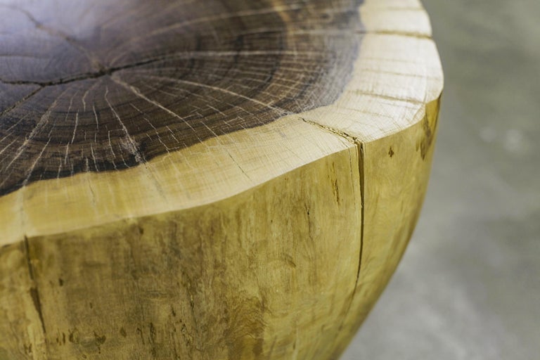 Hand Carved Live Edge Solid Wood Trunk Table ƒ9 by Costantini, in Stock ...