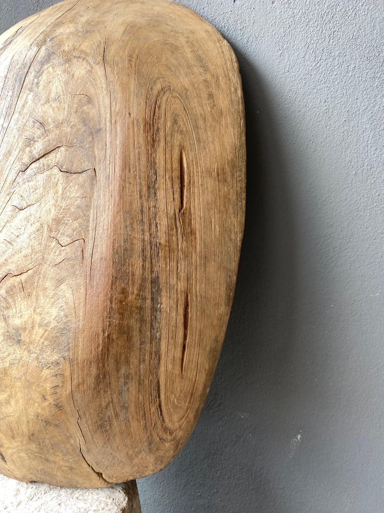 Hand Carved Trough from Sabino Wood, 1980s For Sale at 1stDibs