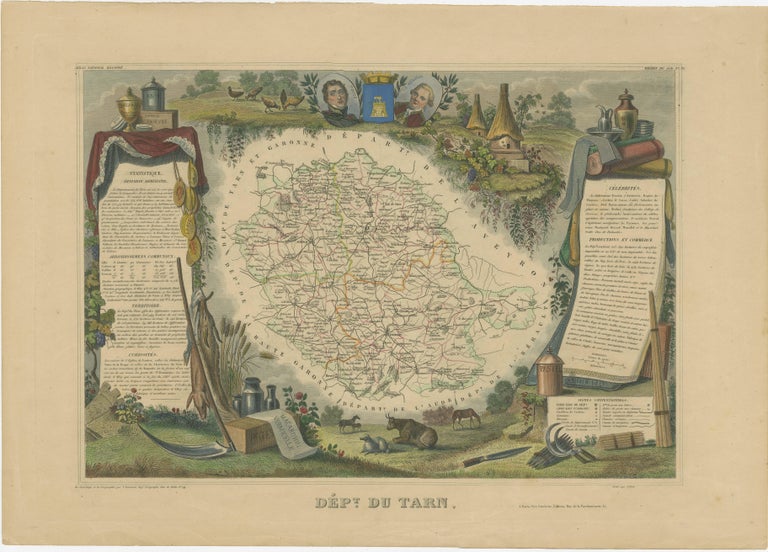 Hand Colored Antique Map of the Department of Tarn, France For Sale at ...