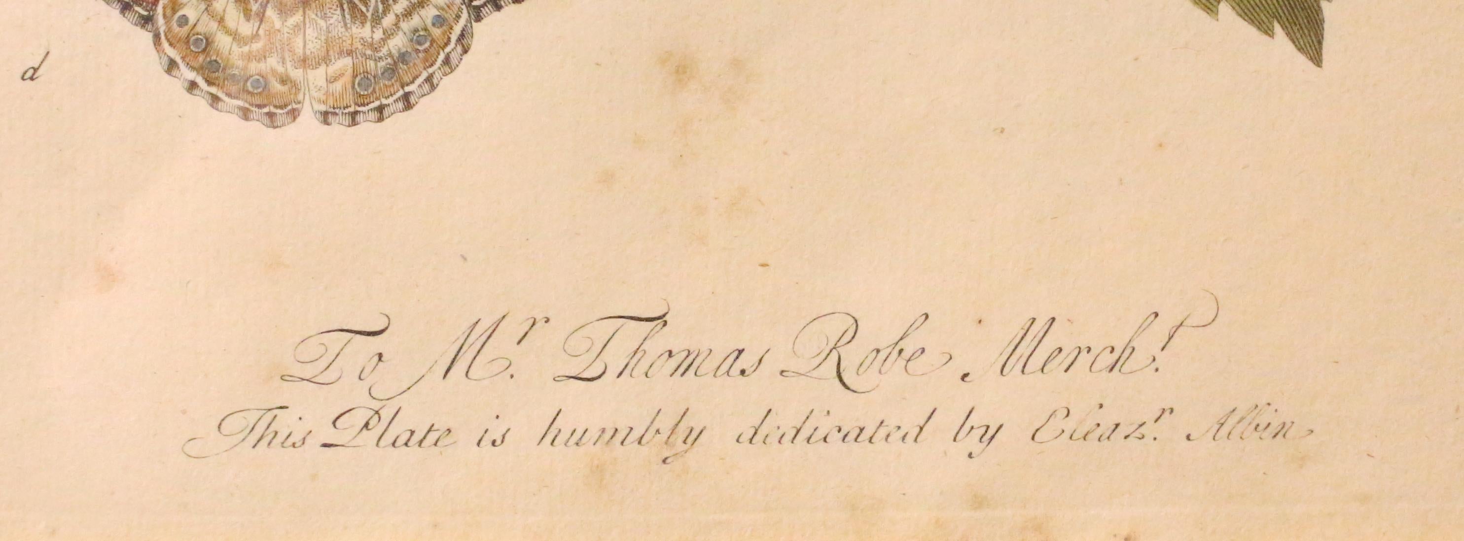 Hand Colored Copper Plate Lithograph of Caterpillars and Great Tortoise ...