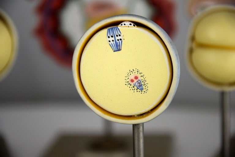 Handmade Mid-Century Modern Anatomical Cell Division Models For Sale at ...