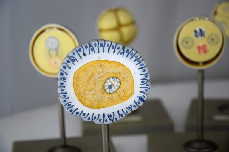 Handmade Mid-Century Modern Anatomical Cell Division Models For Sale at ...