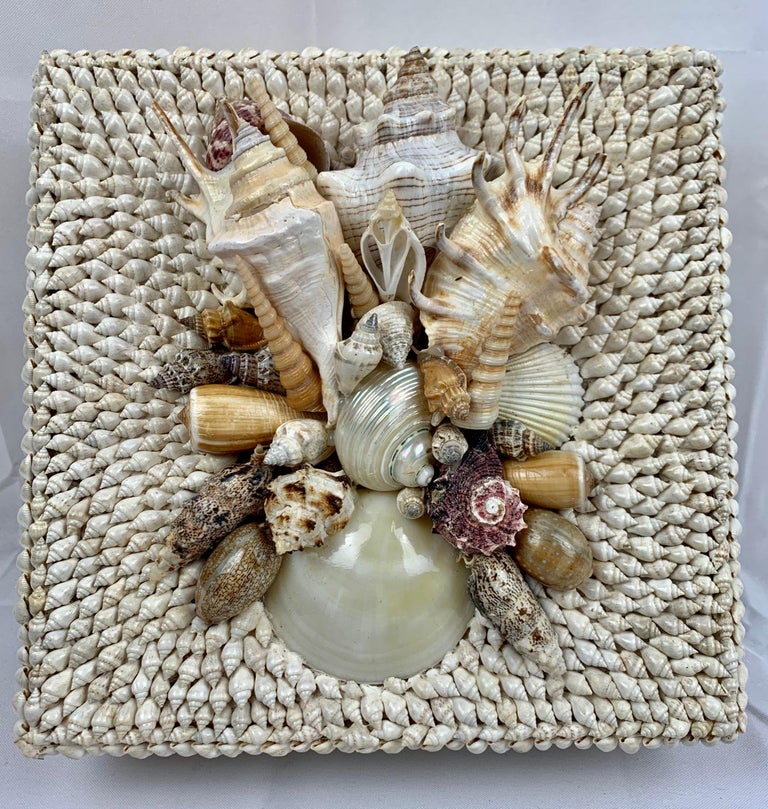 Natural White Sea Shell Hand Decorated Square Box with Removable Lid ...