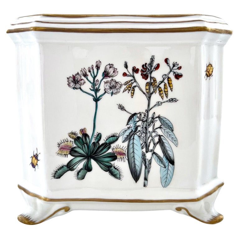 Hand Painted Porcelain Cachepot Designed by Anna Weatherley at 1stDibs