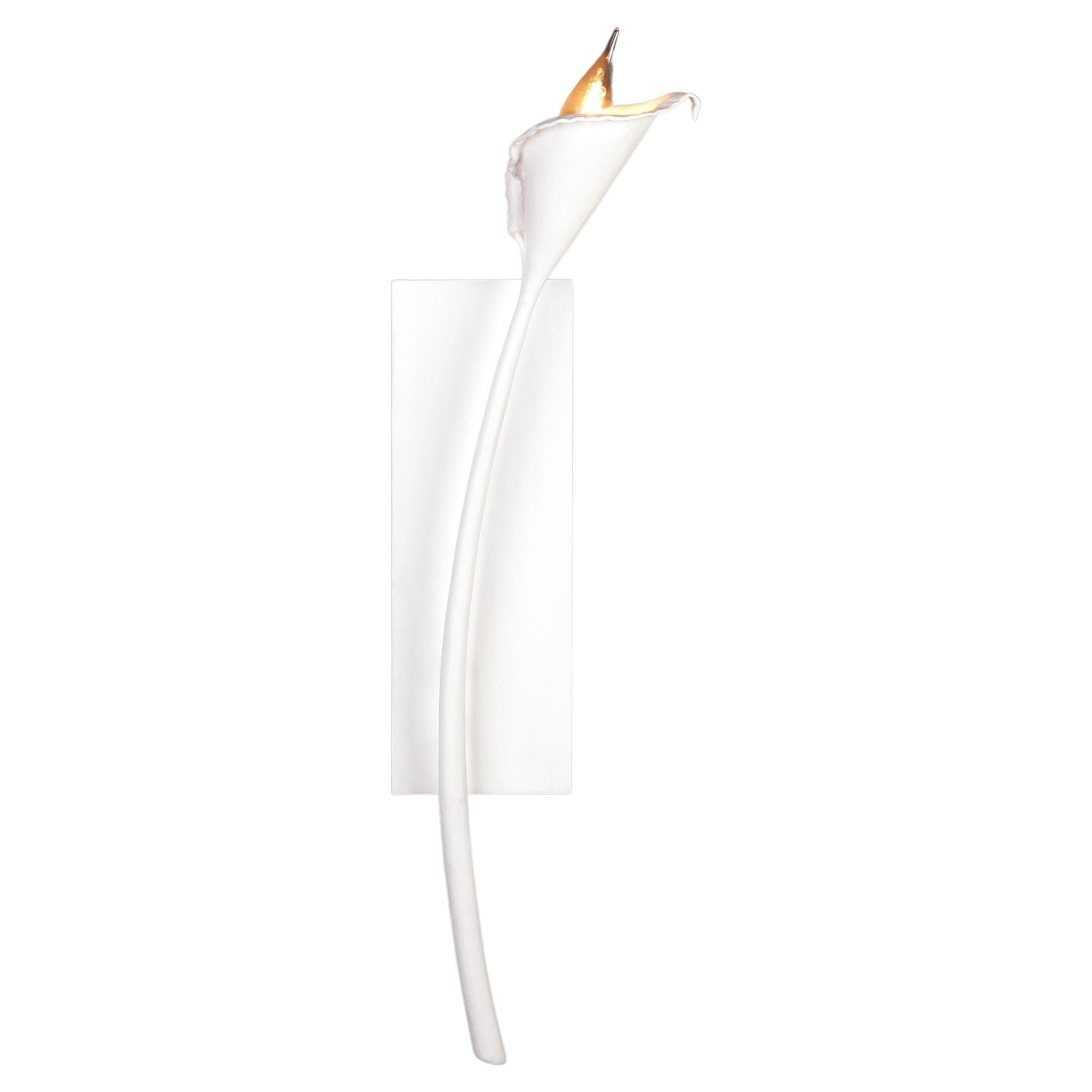 Organic Modern Shell Wall Light/Wall Sconce in White Plaster by Hannah ...