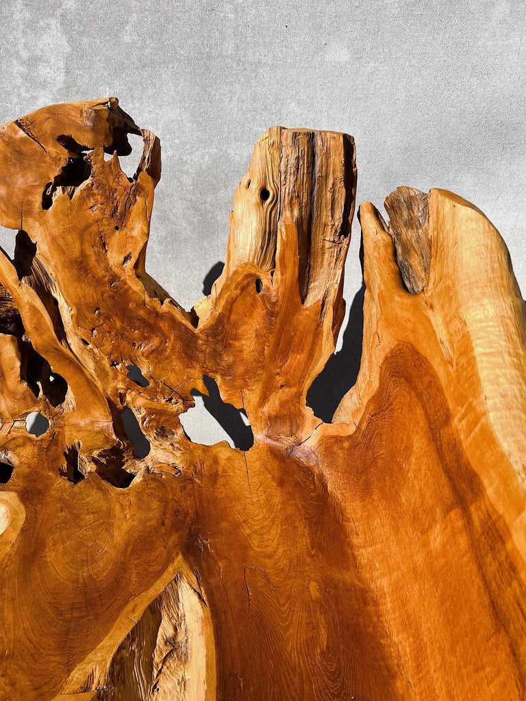 Handcrafted Rustic Teak Root Tree Bench, Vintage, Canada at 1stDibs