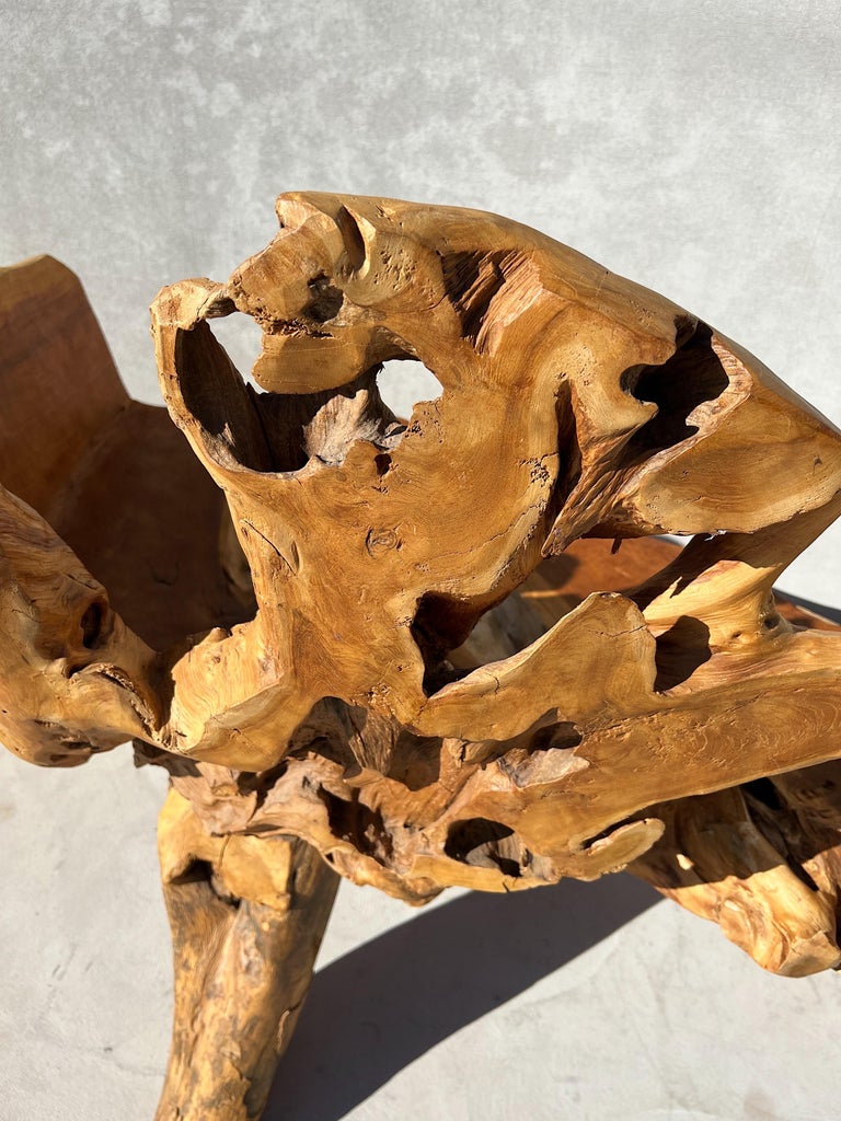 Handcrafted Rustic Teak Root Tree Bench, Vintage, Canada at 1stDibs