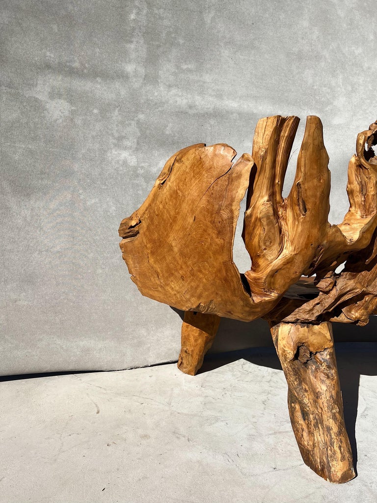 Handcrafted Rustic Teak Root Tree Bench, Vintage, Canada at 1stDibs
