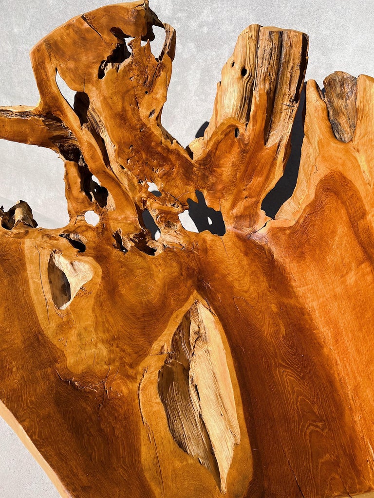 Handcrafted Rustic Teak Root Tree Bench, Vintage, Canada at 1stDibs