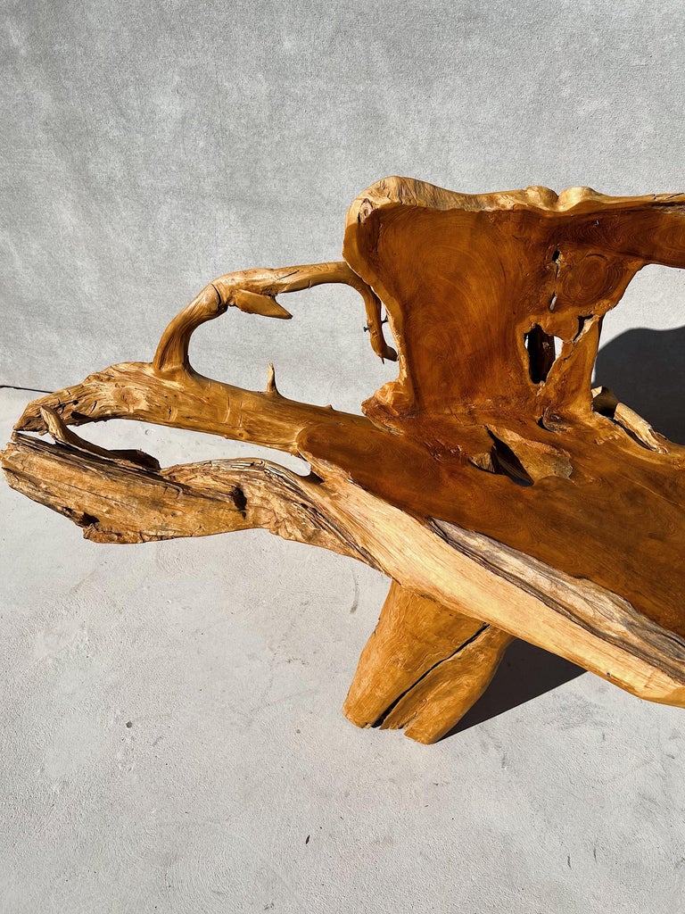 Handcrafted Rustic Teak Root Tree Bench, Vintage, Canada at 1stDibs