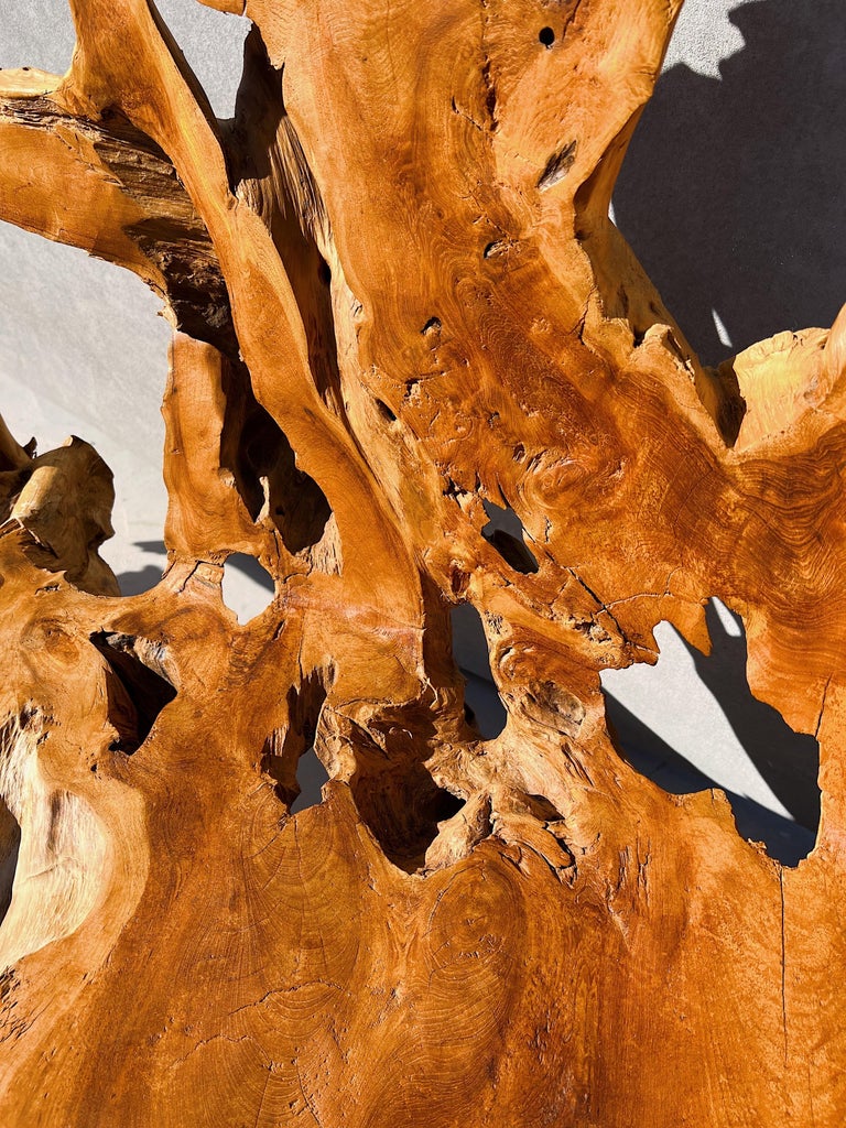 Handcrafted Rustic Teak Root Tree Bench, Vintage, Canada at 1stDibs