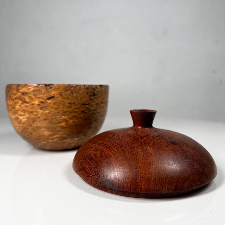 Handcrafted Sculptural Lidded Vessel Jar Brazil Nutshell Mesquite Wood ...