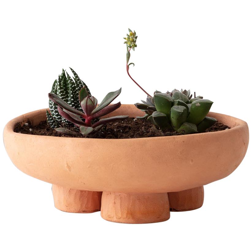 Handmade Red Clay Dish Foot Planter Unique Edition at 1stDibs