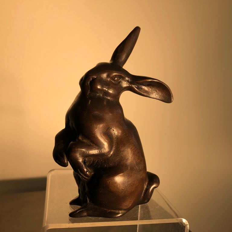Handsome Tall Big Ears Chocolate Bronze Rabbit, Japanese Fine Details ...