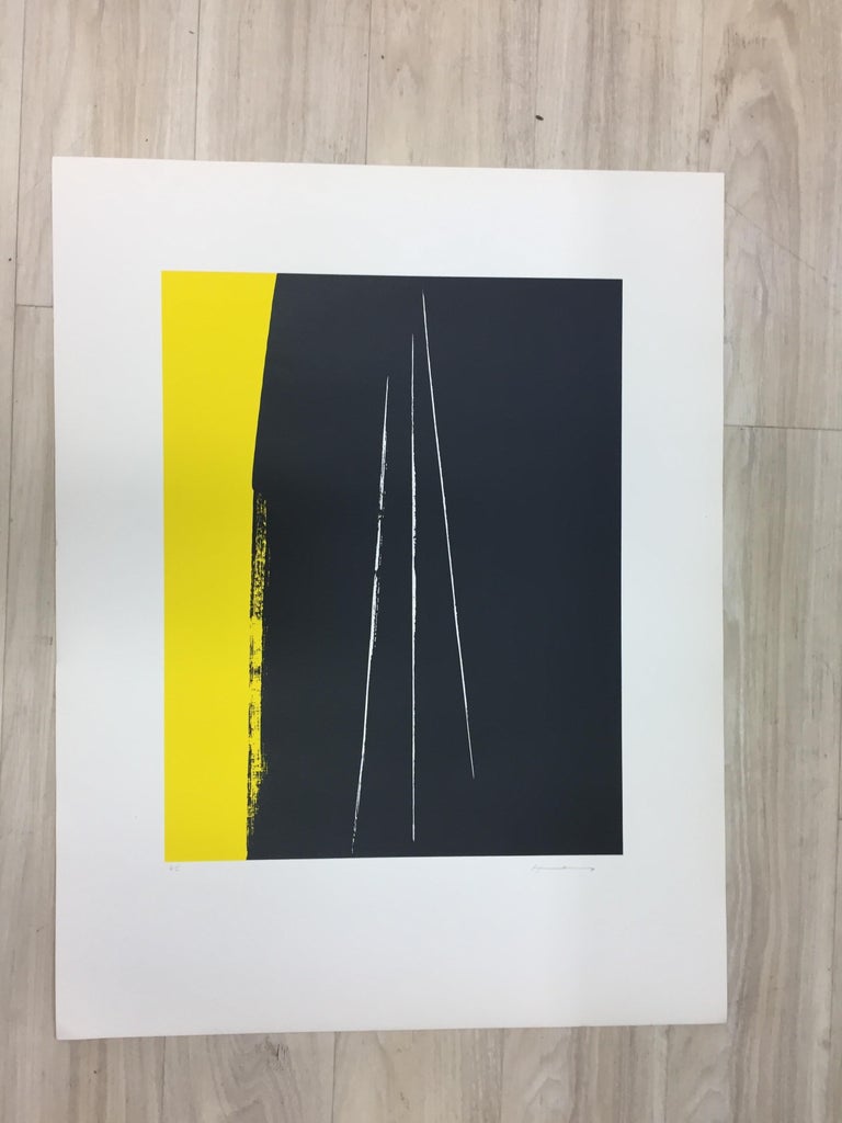 Hans Hartung - HARTUNG - original abstract lithograph- Limited ...