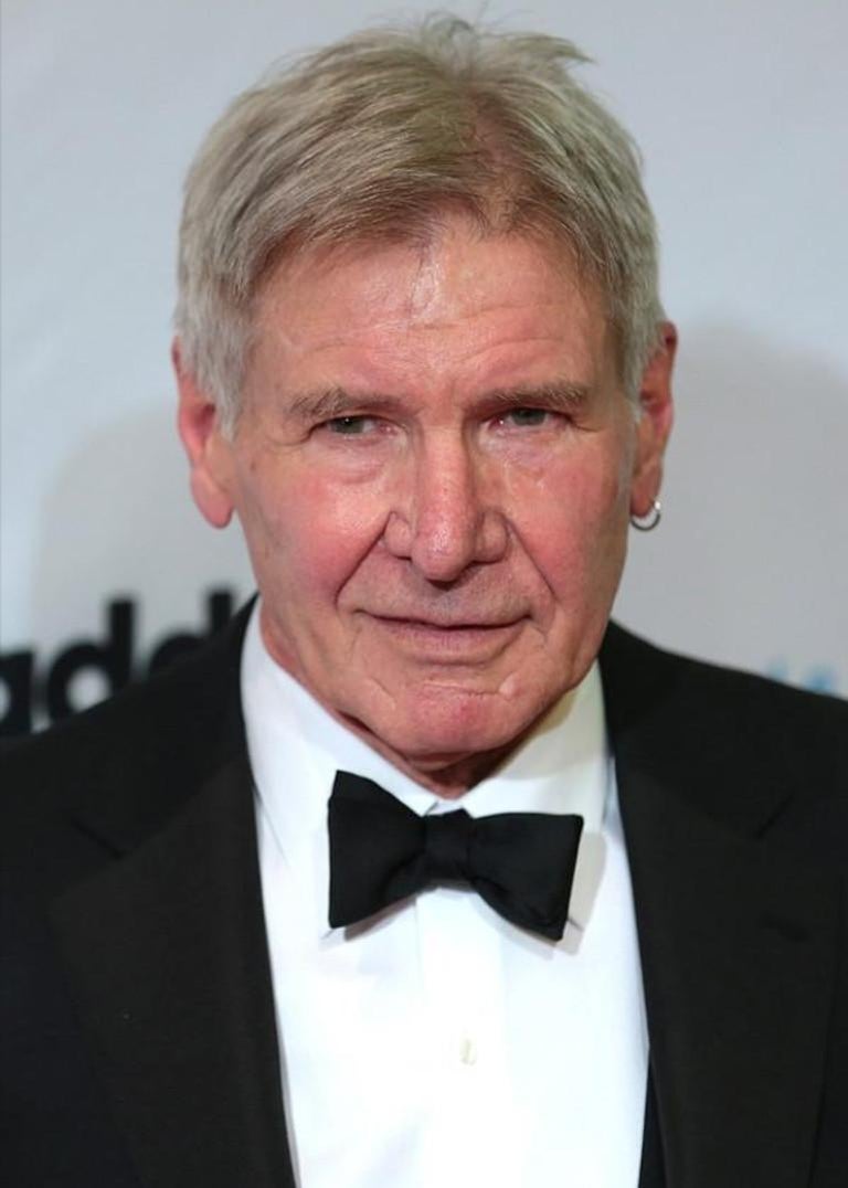 Harrison Ford Authentic Strand of Hair, 21st Century For Sale at ...