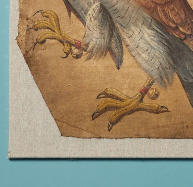 Hawk 19th Century Oil Painting on Canvas For Sale at 1stDibs