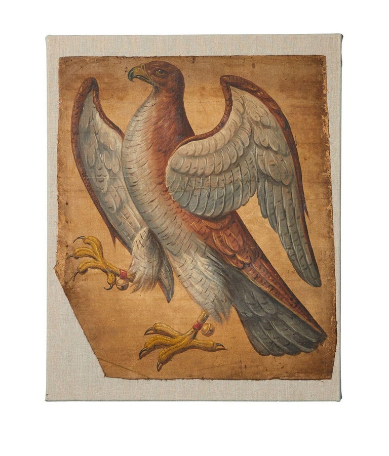 Hawk 19th Century Oil Painting on Canvas For Sale at 1stDibs