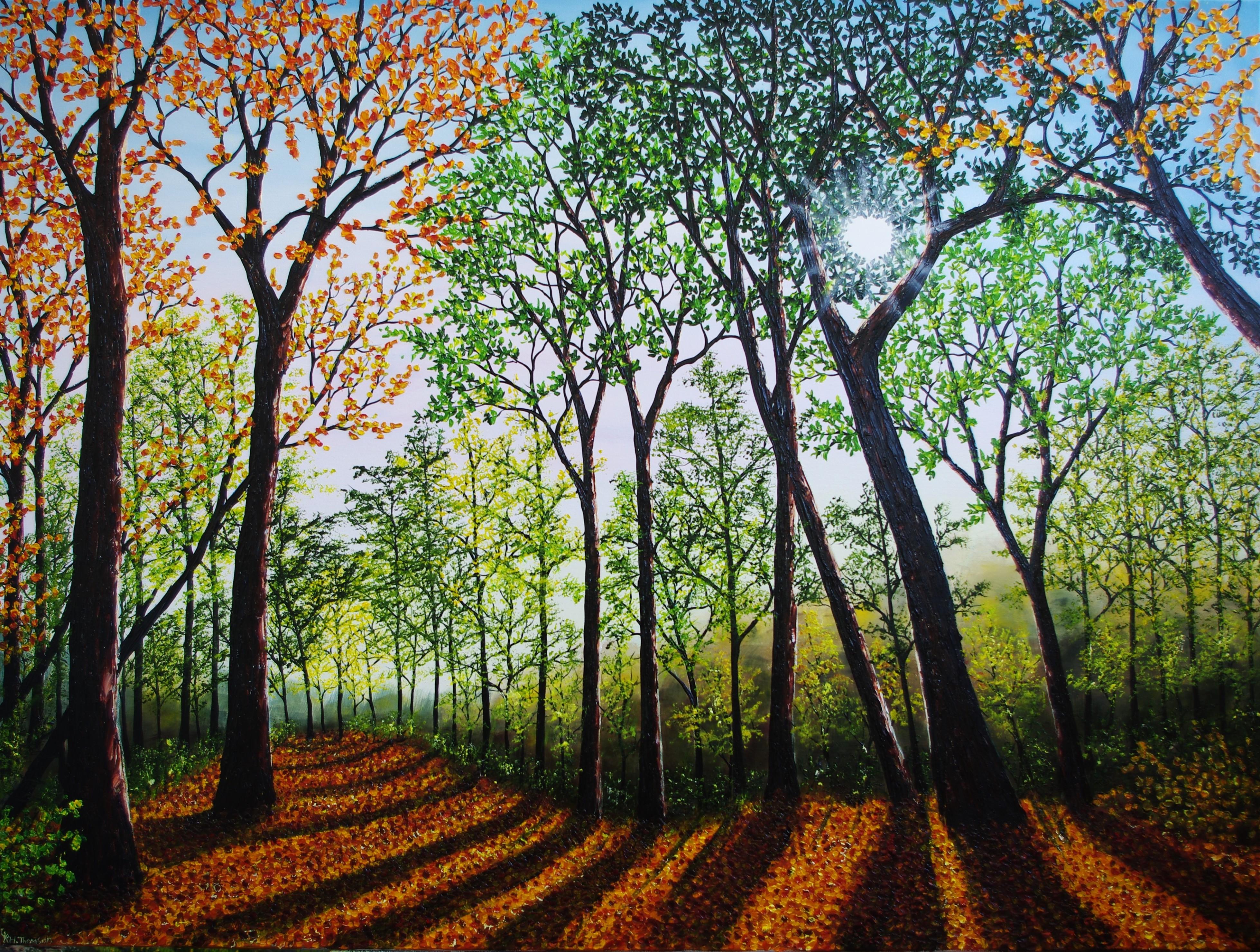 Hazel Thomson - Autumn shadows- original landscape impressionist oil ...