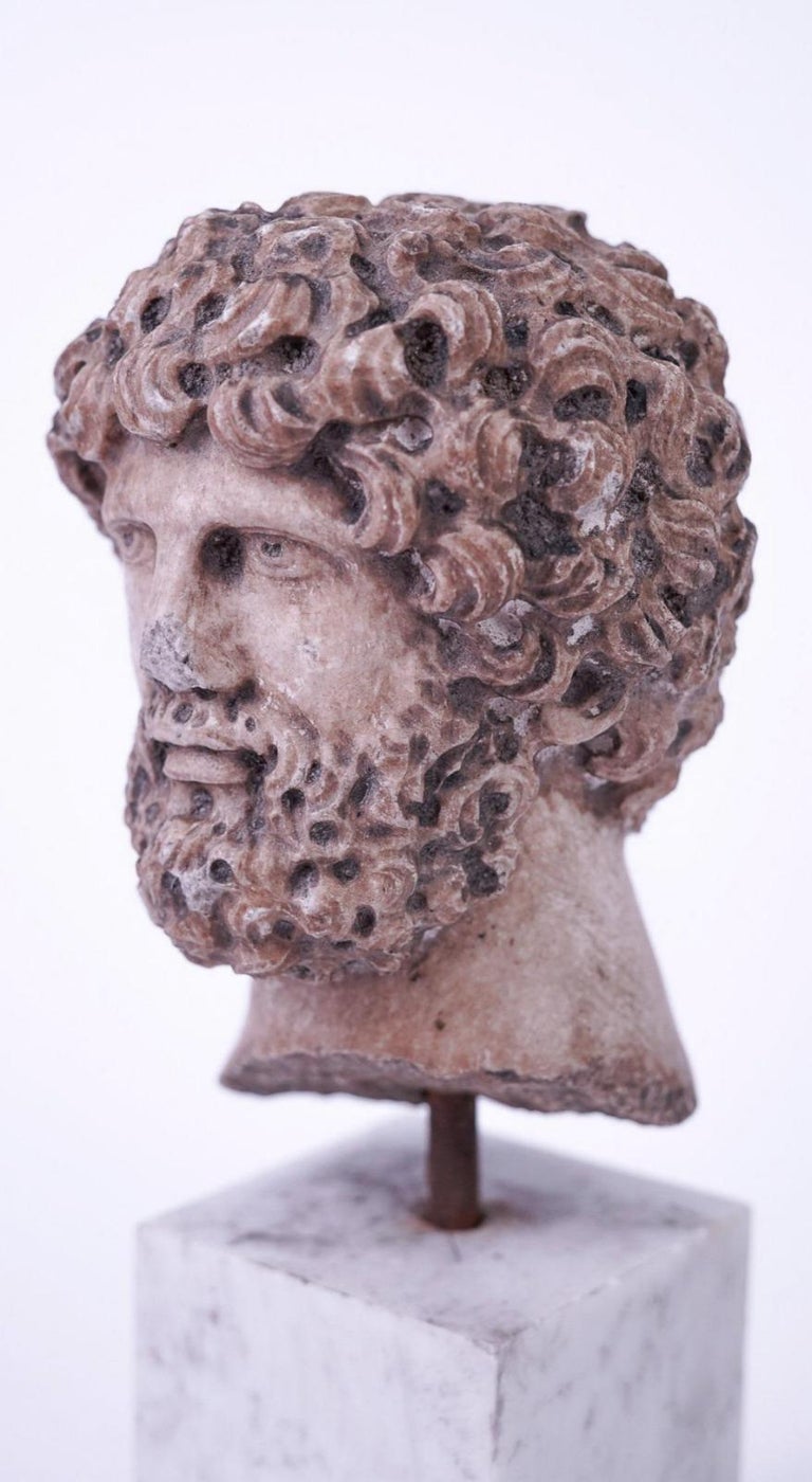 Head of Jupiter in Marble End 19th Century Italy For Sale at 1stDibs