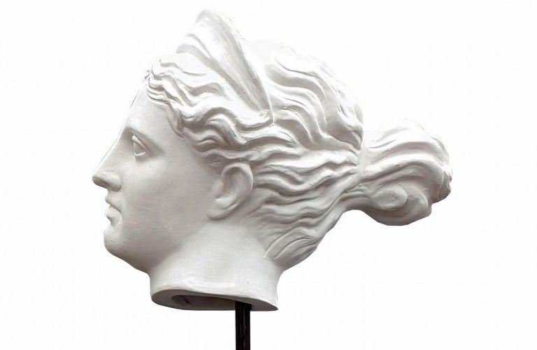 Head of the Diana of Versailles, Terracotta Bianca Early 20th Century ...