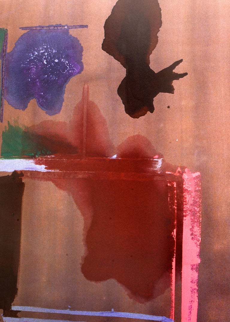 Helen Frankenthaler by John Elderfield, 1st Ed For Sale at 1stDibs