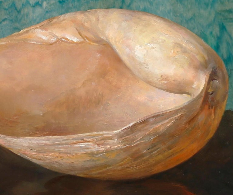 Helen Oh - Bailer Shell - Single Bailer Sea Shell on Brown Table w ...