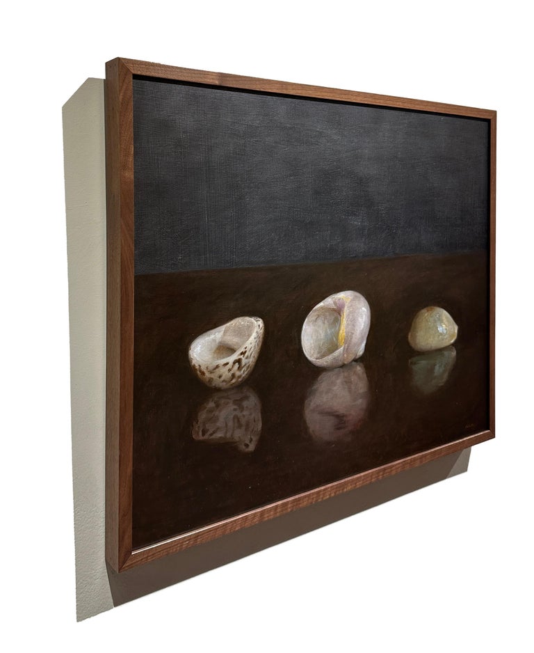 Helen Oh - Three Shells - Still Life of Three Shells on a Rich Mahogany ...