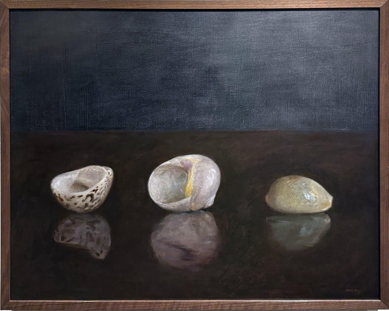 Helen Oh - Three Shells - Still Life of Three Shells on a Rich Mahogany ...