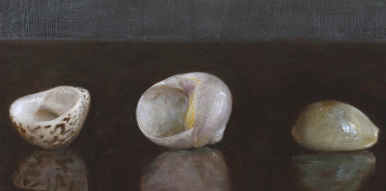 Helen Oh - Three Shells - Still Life of Three Shells on a Rich Mahogany ...