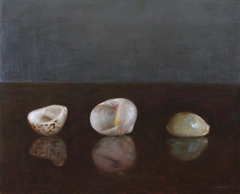 Helen Oh - Three Shells - Still Life of Three Shells on a Rich Mahogany ...