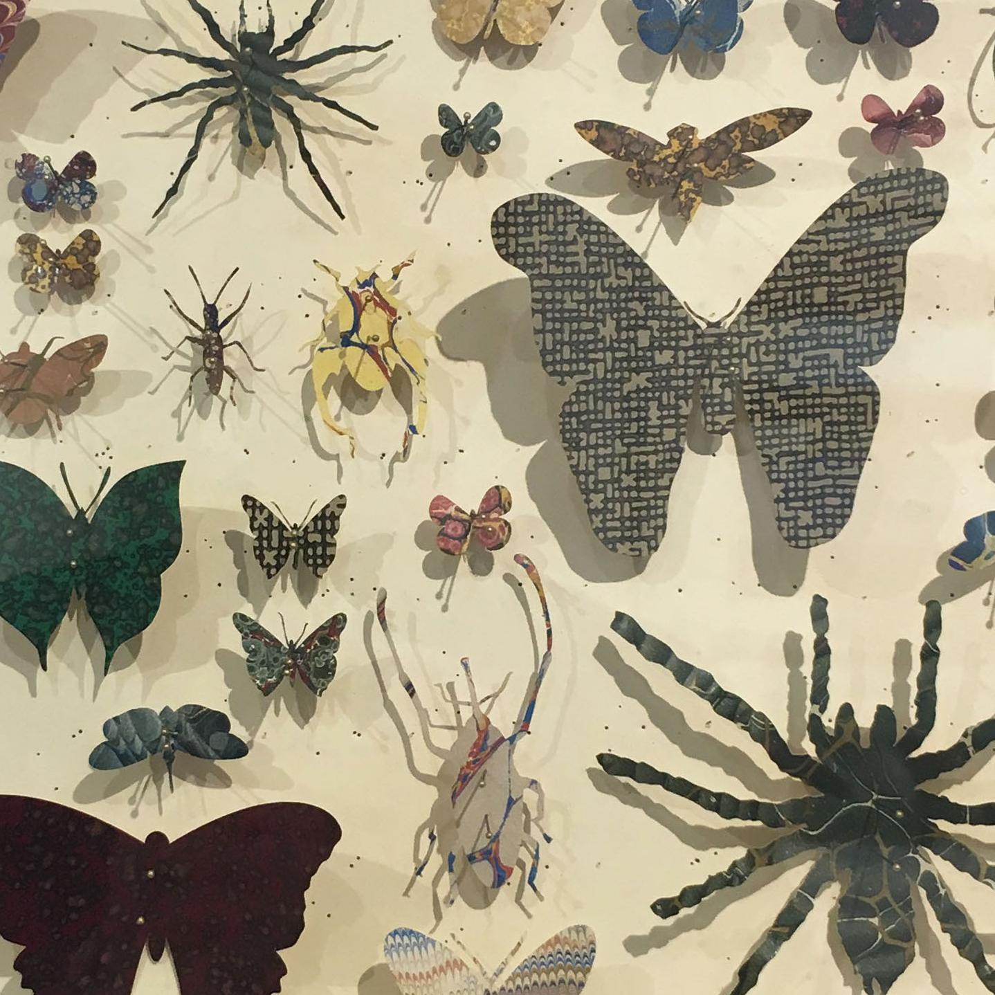 Helen Ward - Paper Entomology For Sale at 1stDibs | helen ward artist ...